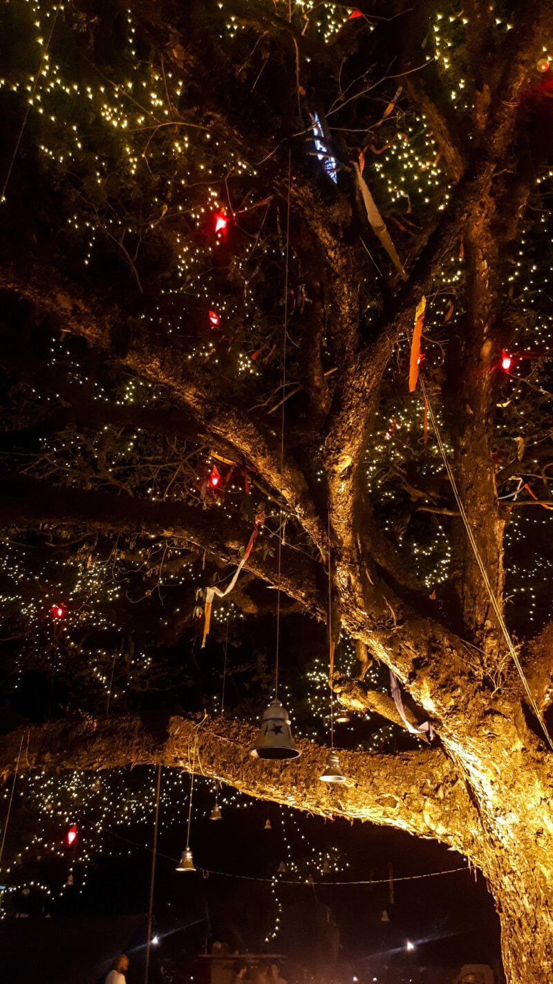 Kerala Log 4 - New Year's Eve at Fort Kochi - The Curly Braces