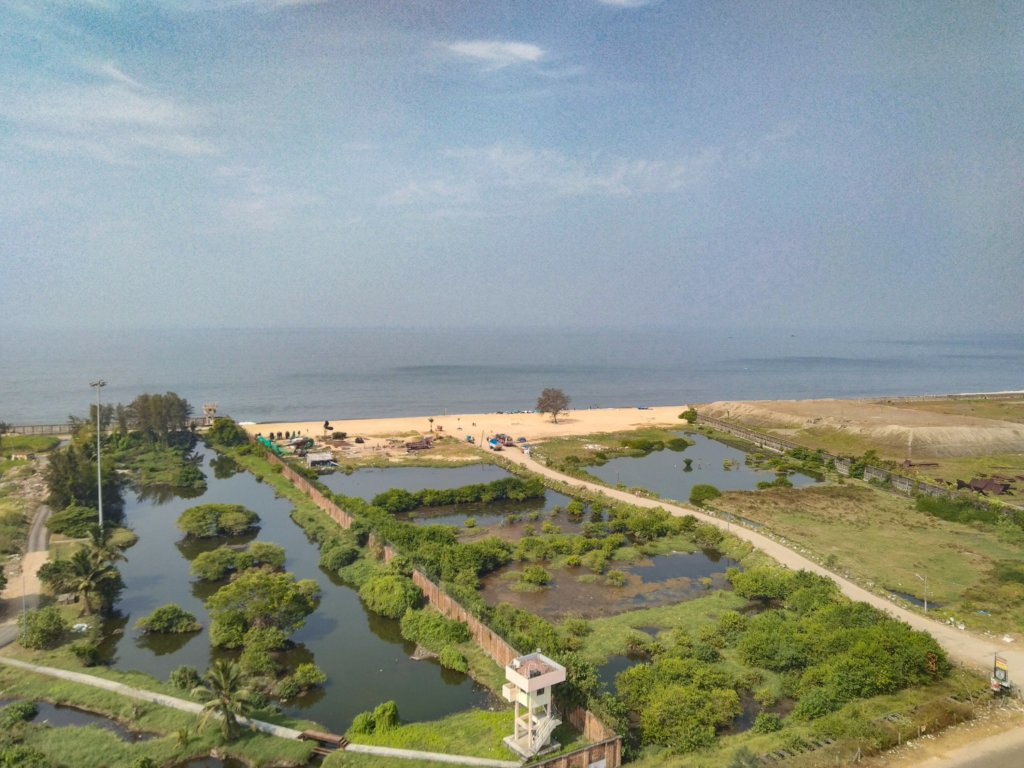 Kerala Log 5 - Vypin | The Curly Braces